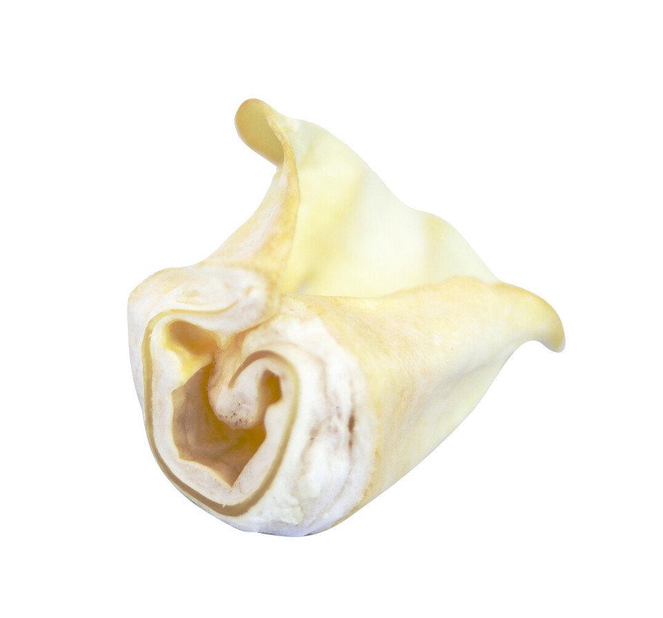 All Natural Beef Cow Ears DOG Treats in bulk Natural Flavor | eBay