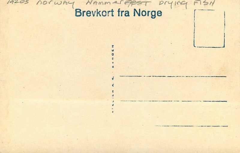 Norway 1920s Hammerfest Drying Fish #1604 RPPC Photo Postcard Bergen 22 ...