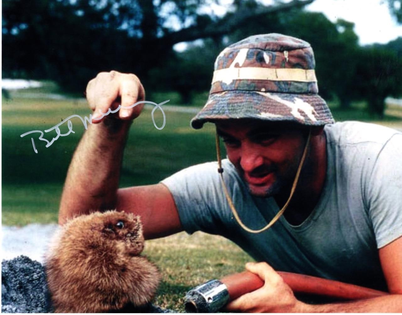 Bill Murray autographed 11x14 Photo signed Picture Photo with COA | eBay