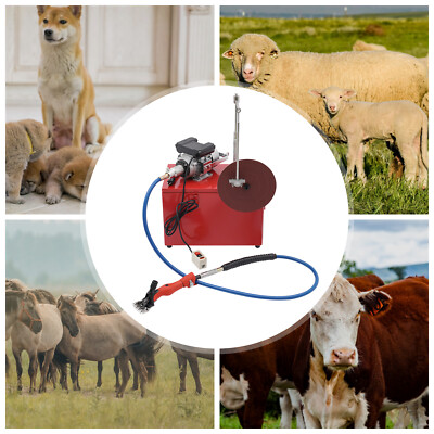 Electric Sheep Shear Clipper Sharpener, 110V 360° Rotate Electric ...