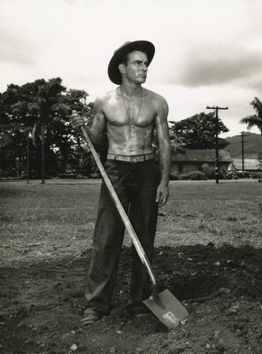 From Here to Eternity 1953 Montgomery Clift Robert shirtless shovel Photo CL1855 | eBay