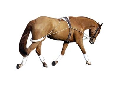 Sistema Pessoa addestramento alla longia Horse Training System Lunging ...