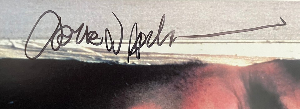 The Shining - Jack Nicholson Signed Photo 11x14 With PSA / DNA COA ...