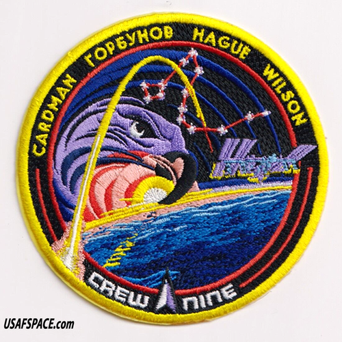 Authentic CREW-9 NASA SPACEX ISS Mission CREW DRAGON A-B Emblem SPACE ...