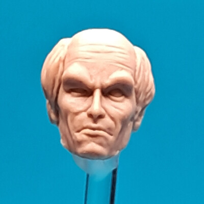 Star Wars Debnoli Cantina Patron Custom Head Cast TVC 3-3/4" 1:18 Scale ...