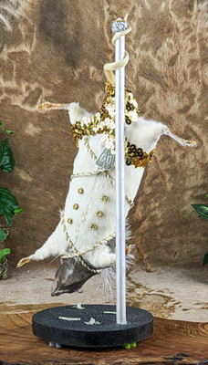 Stripper Rat Pole Burlesque Showgirl Taxidermy Oddities Curiosity decor ...