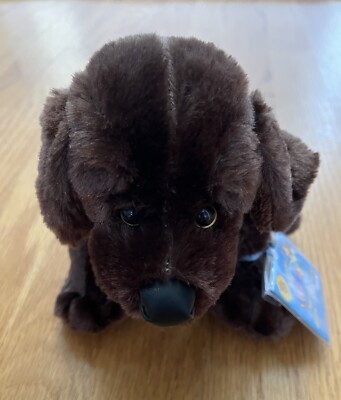 WEBKINZ CHOCOLATE LAB HM138 - NEW WITH SEALED CODE | eBay