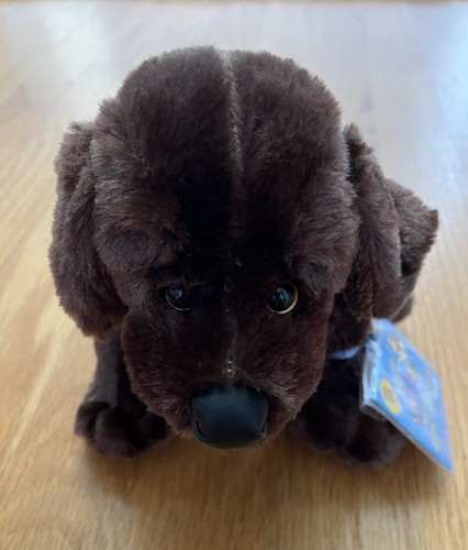 WEBKINZ CHOCOLATE LAB HM138 - NEW WITH SEALED CODE | eBay