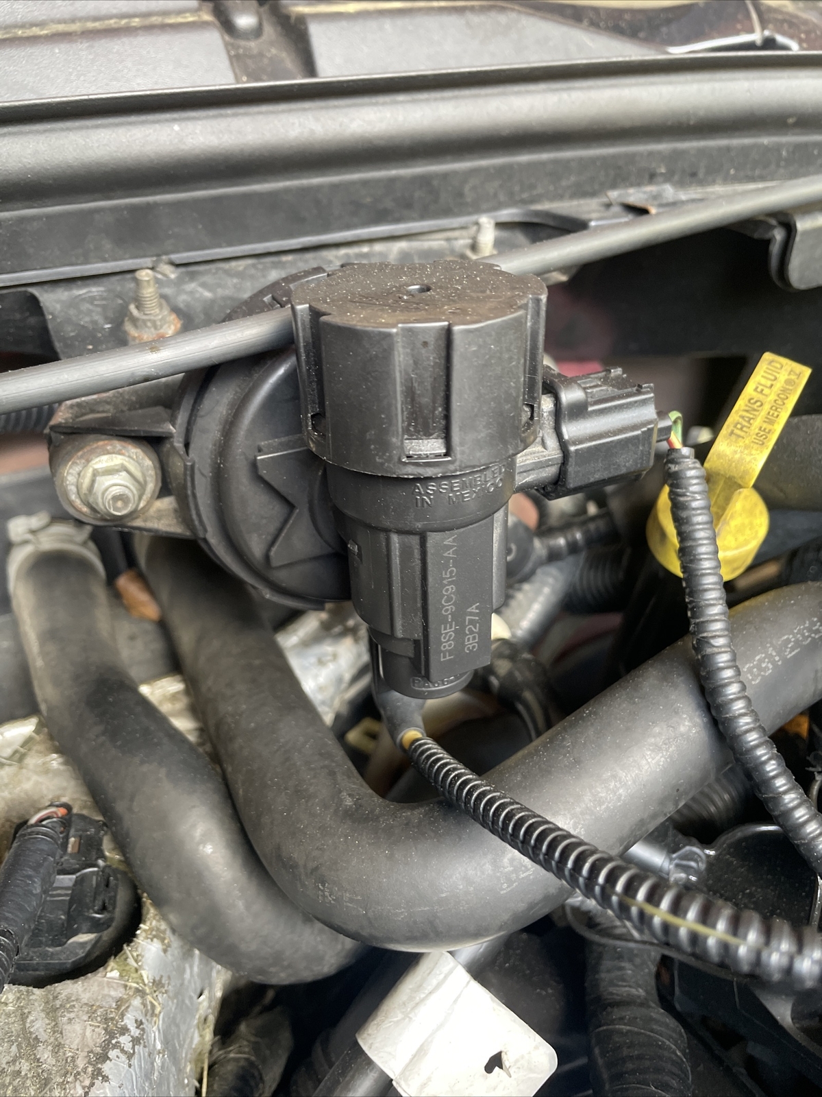 Vapor Canister Valve Motorcraft CX1810 | eBay