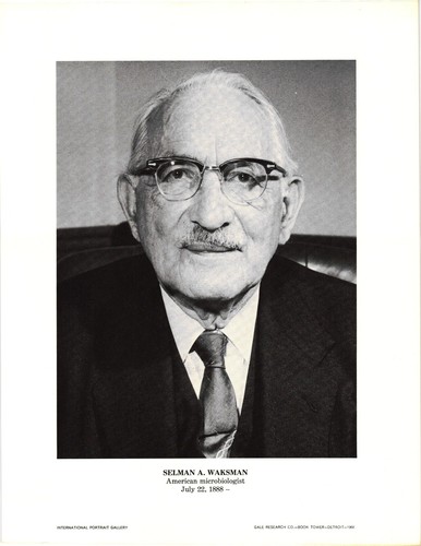 Selman A. Waksman Portrait by International Portrait Gallery 1968 | eBay