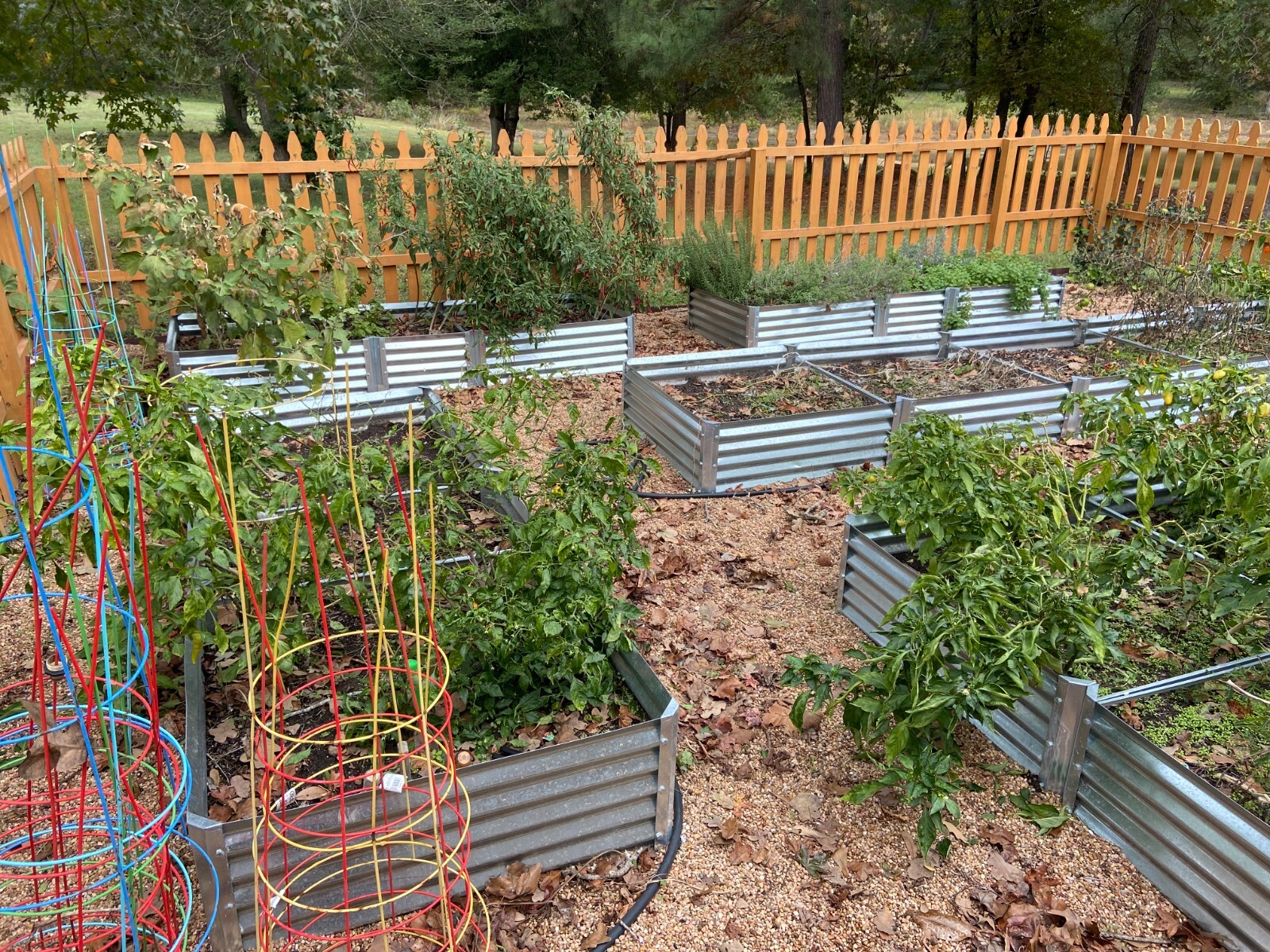 Raised Bed Garden Drip Irrigation Starter Kit 5 Row Valves 100ft Micro ...