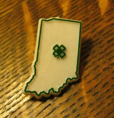 Indiana 4-H Map Lapel Pin - Vintage IN 4H Youth Organization Hoosier ...