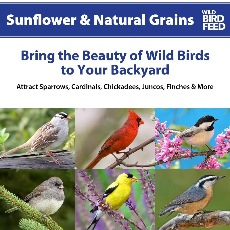 Global Harvest Foods Sunflower & Grains Wild Bird Feed, Dry, 1 Count ...