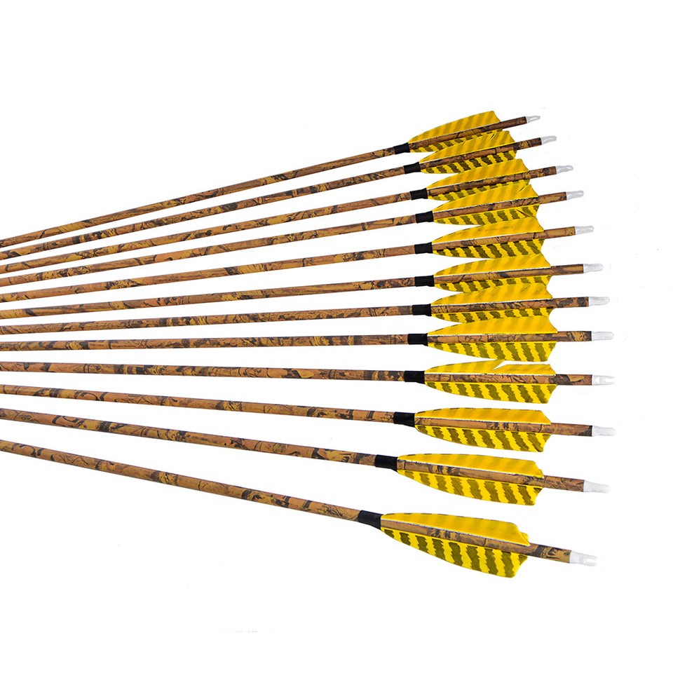 30" Carbon Arrows SP500 4'' Turkey Feather Screw Tips Points Archery ...