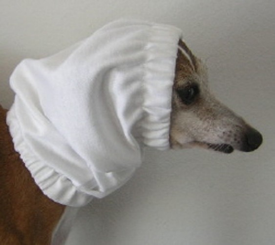 2 DOG Lycra SNOODS Pink Neon Paisley AFGHAN HOUND SALUKI STANDARD ...