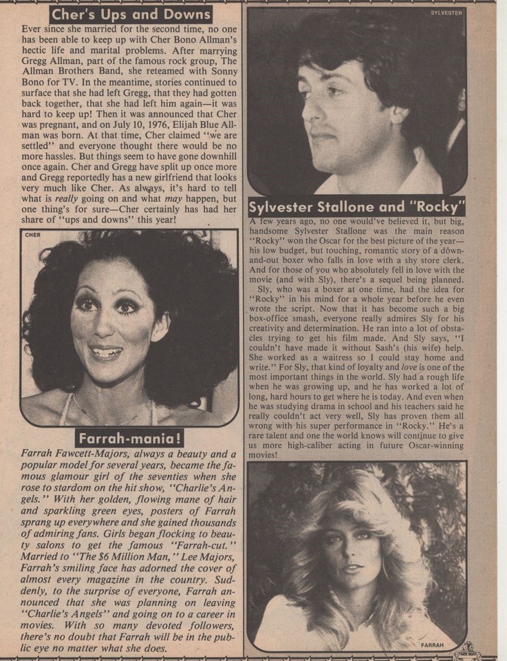 Shaun Cassidy Parker Stevenson pinup Cher Farrah Fawcett Sylvester Sly ...