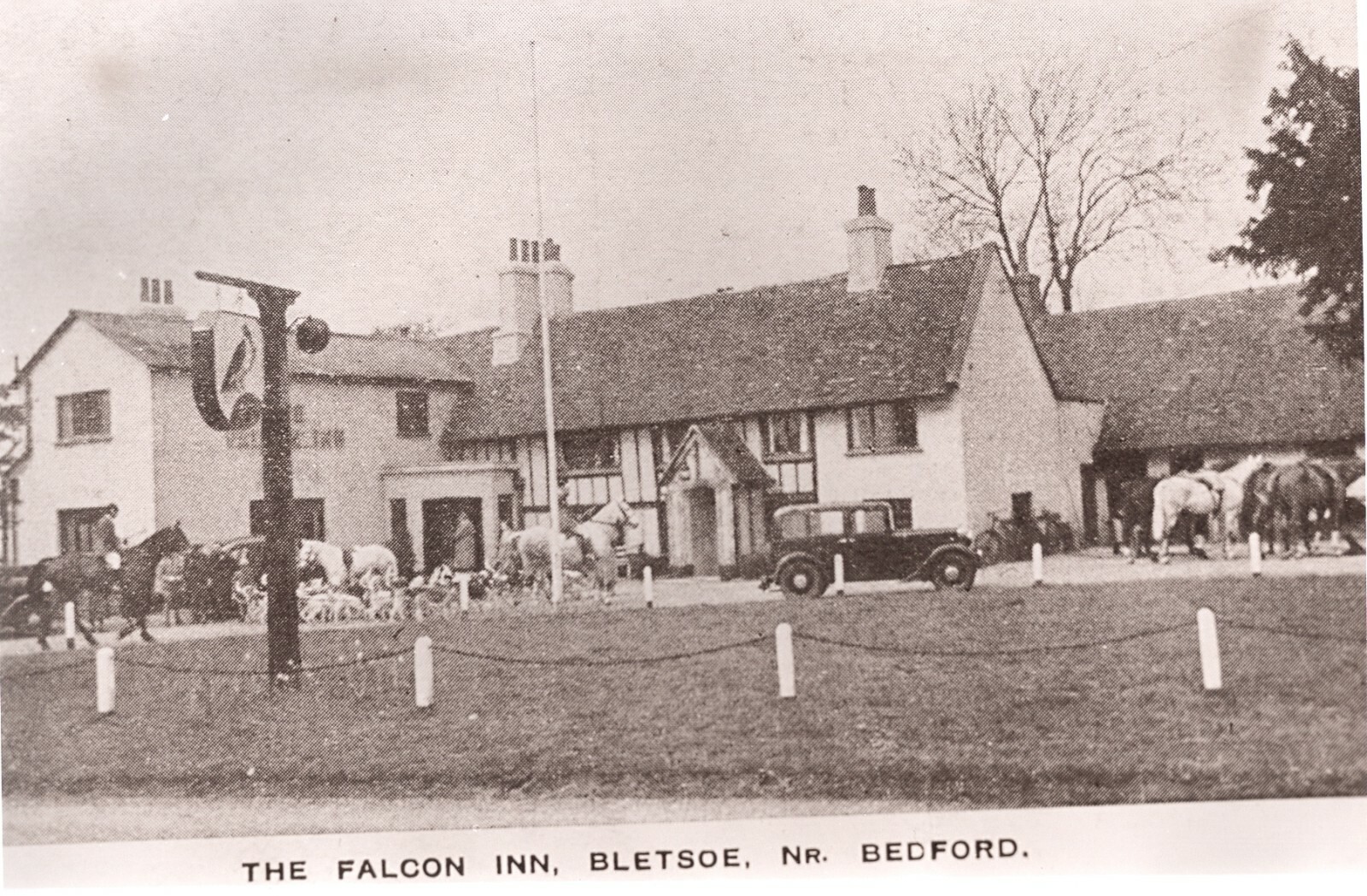 BLETSOE, THE FALCON INN BEDFORDSHIRE c1910 | eBay UK