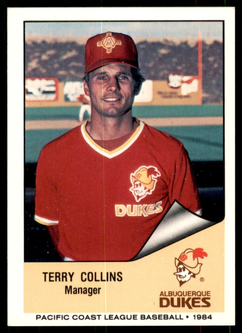 Terry Collins Wife