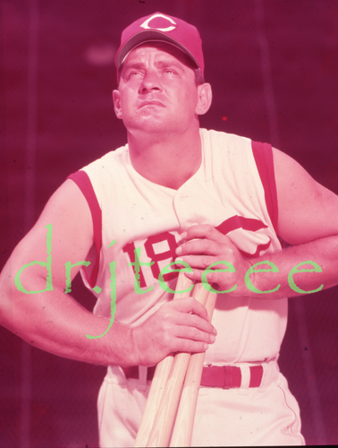 Ted Kluszewski CINCINNATI REDS - OZZIE SWEET Transparency | eBay