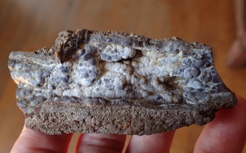 Botryoidal Fossil Coral Geode Fragment GA Agate Specimen Cabbing ...