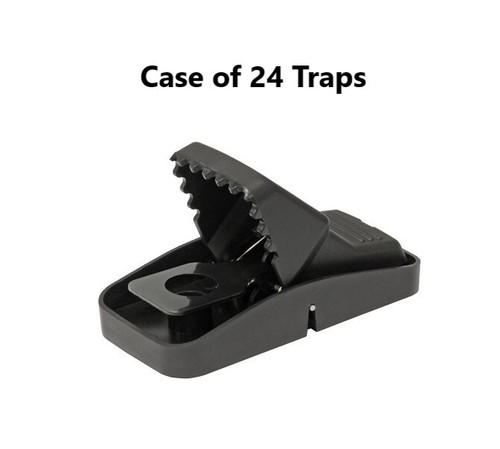 Catchmaster Easy Set Mouse Snap Trap (24 Traps) Mouse Trap Quick ...