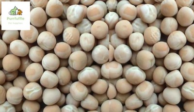 20kg WHITE PEAS Racing Pigeon Food / Fishing Fish Particle Bait | eBay UK