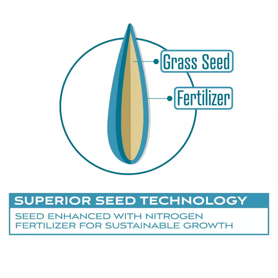 Pennington 50 lb. Perennial Ryegrass Blend Winter Grass Seed Lawn ...