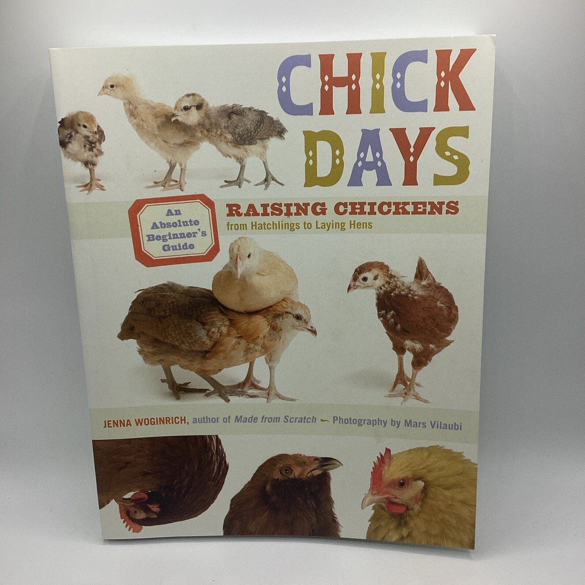 Guide To Hatching Chickens The Ultimate Guide To Raising Chickens In