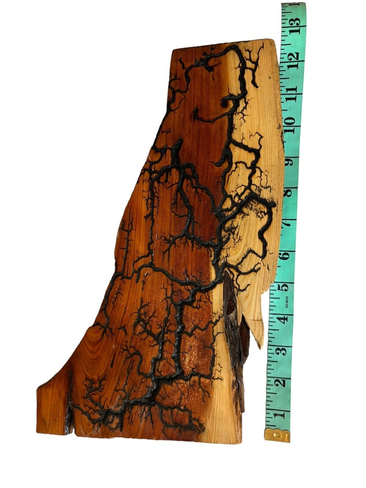 Wood Art Fractal Burn Wall Art Lichtenberg Lightning Design One Of A ...
