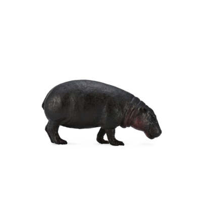 CollectA Realistic Animal Replica Pygmy Hippopotamus Figure Large Ages ...