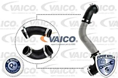 VAICO Charger Intake Hose For FORD C-Max II Focus III Turnier 1827369 ...