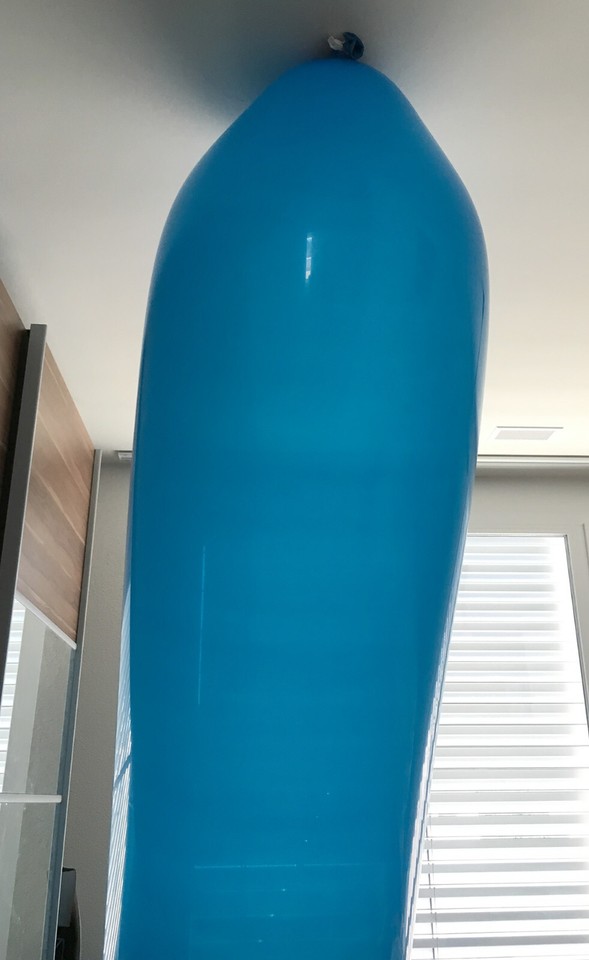 1x Riesenzeppelin Cattex GL700 Luftballon Looner Riesenballon neu | eBay.de