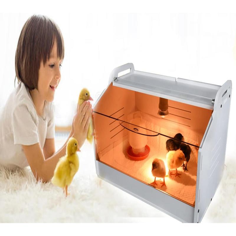 10-15 Chicks Intelligent Brooder Box Quail Birds W/ Heating Lamp ...