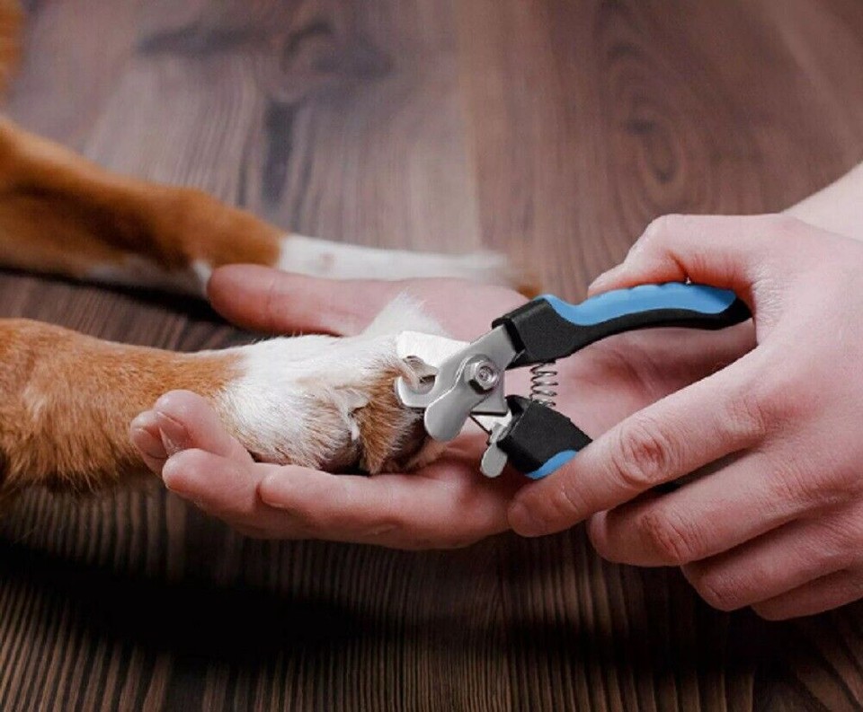 Pet Dog Cat Stainless Steel Professional Nail Toe Trimmer Clipper ...