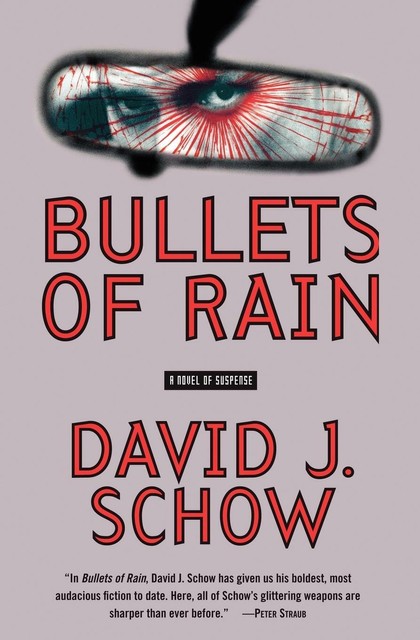 Bullets of Rain von David J. Schow (2003, Taschenbuch) online kaufen ...