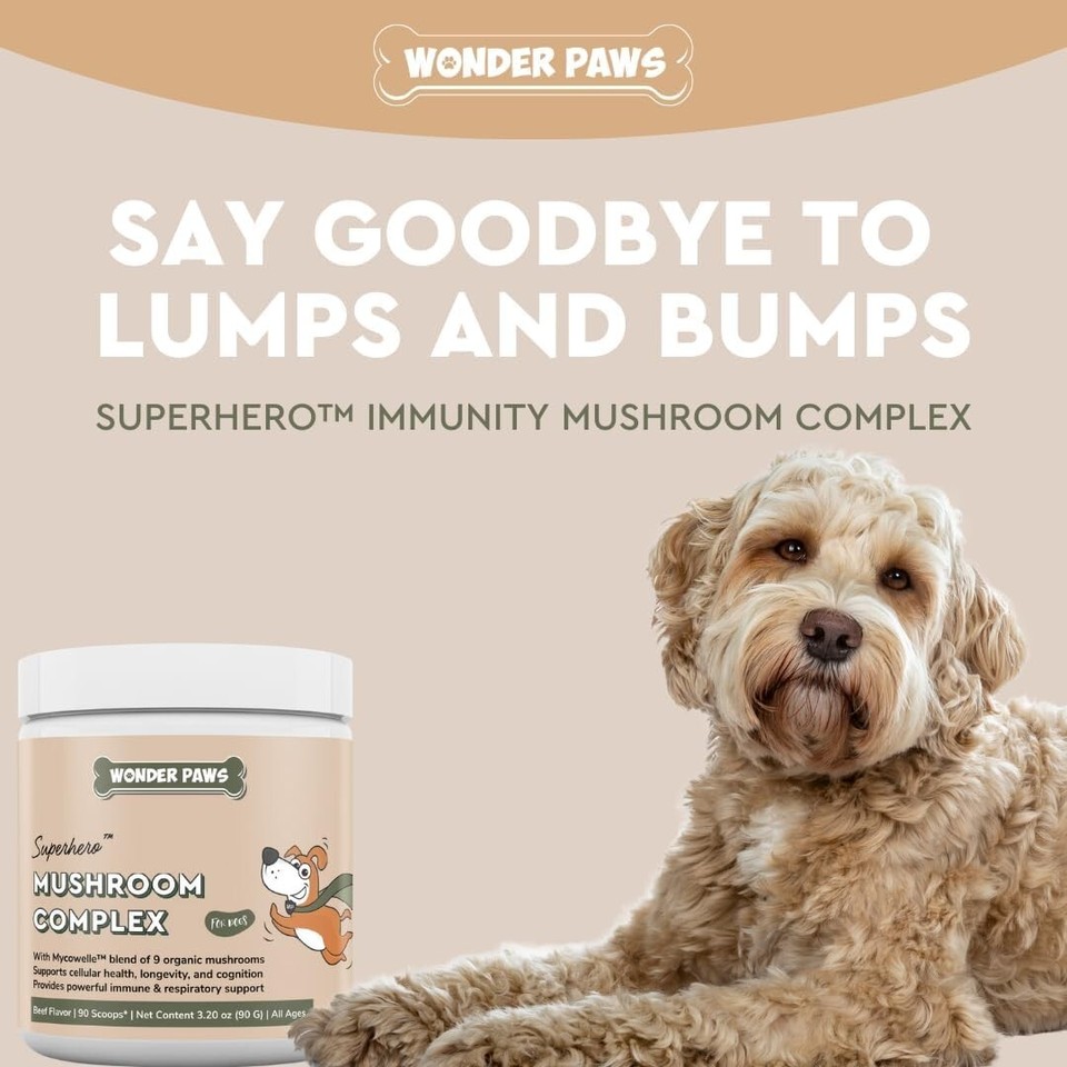 Wonder Paws Immune Support Mushroom Powder for Dogs – 90 Scoops | eBay