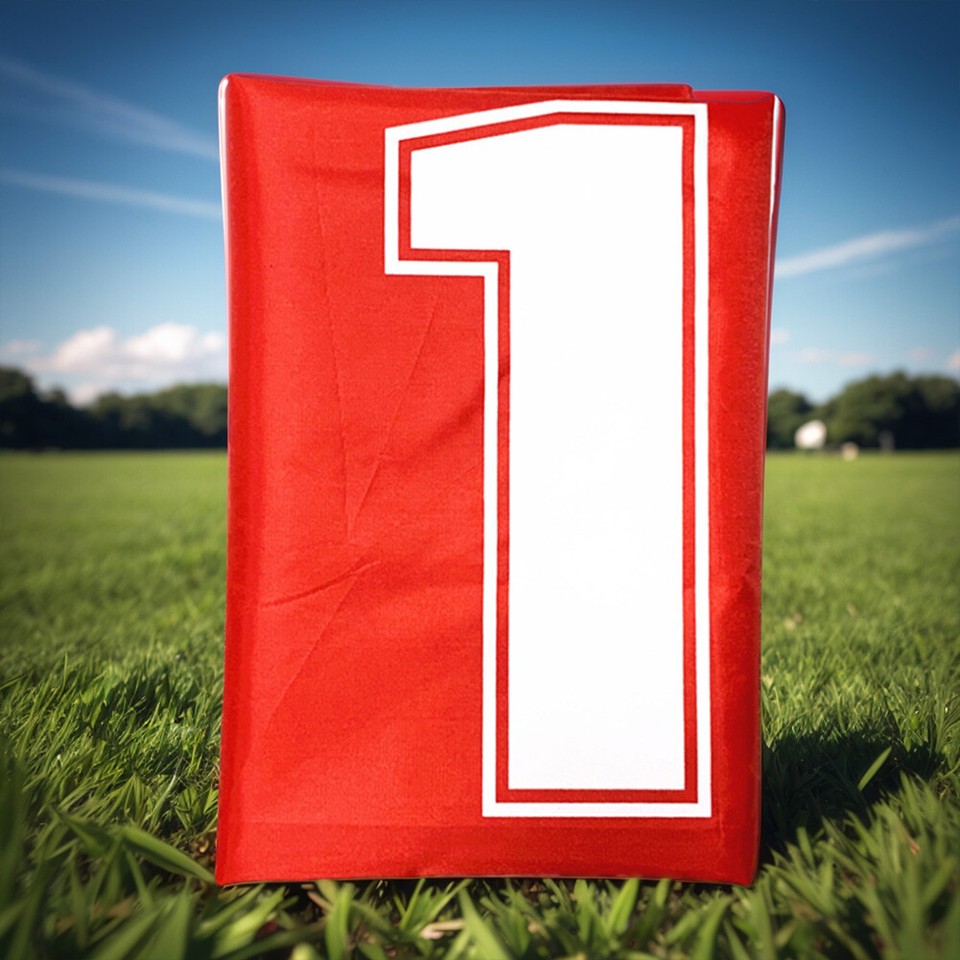 4Pcs Kangaroo Jumping Bags Fun Sports Yard Potato Sack Race Bags for ...