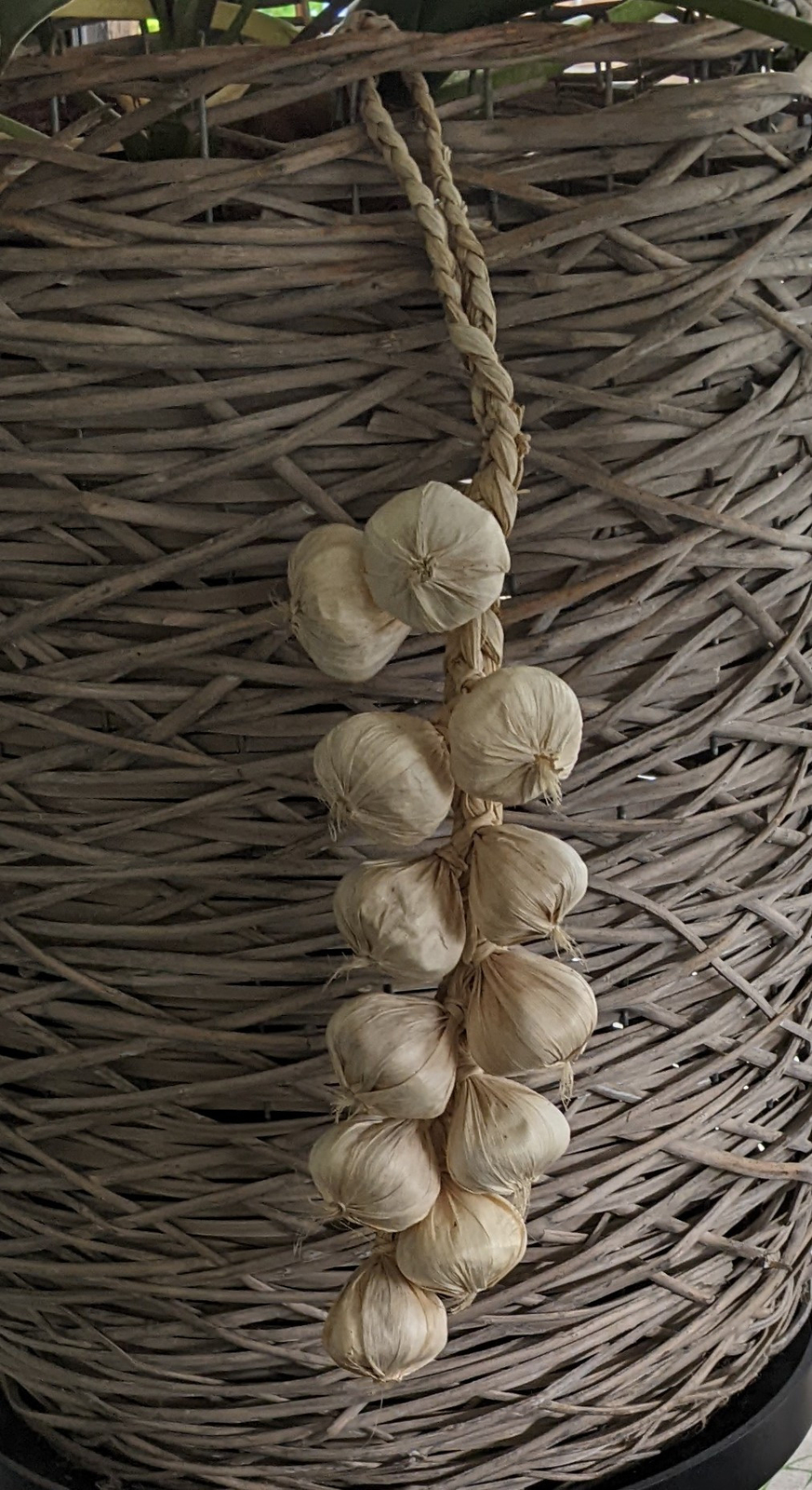Fake Hanging Garlic (12 Bulbs) | eBay