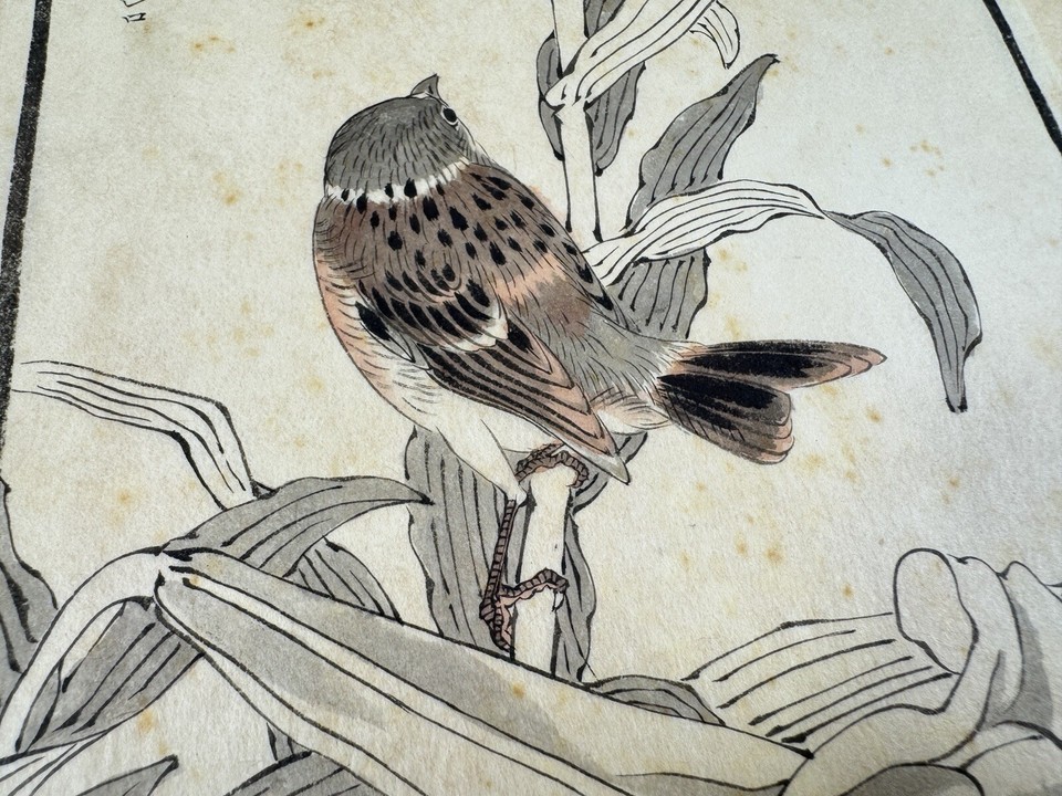 Japanese Drawing Book “Kachoshu” Picture of birds and flowers 49 ...