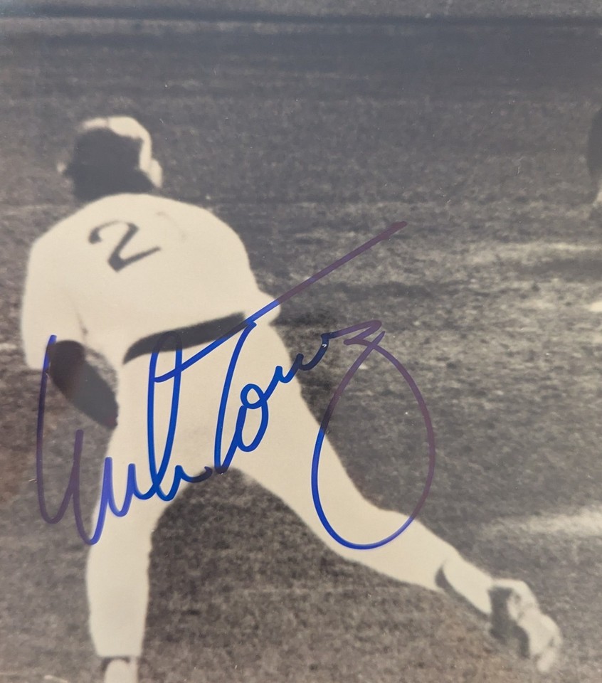 Bucky Dent & Mike Torrez Dual Signed 8x10 Home Run Photo Date ...