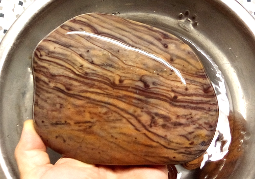 1 Banded Quartzite Rock Specimen Crystals Mineral Geology Lapidary ...