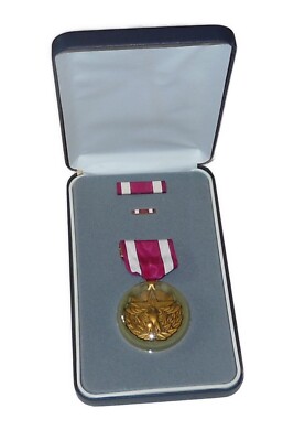 U S ARMED SERVICES MERITORIOUS SERVICE MEDAL IN PRESENTATION CASE. | eBay