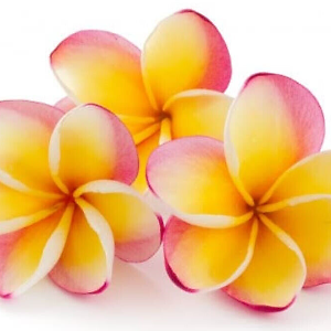 Beautiful Bali bling | eBay Stores