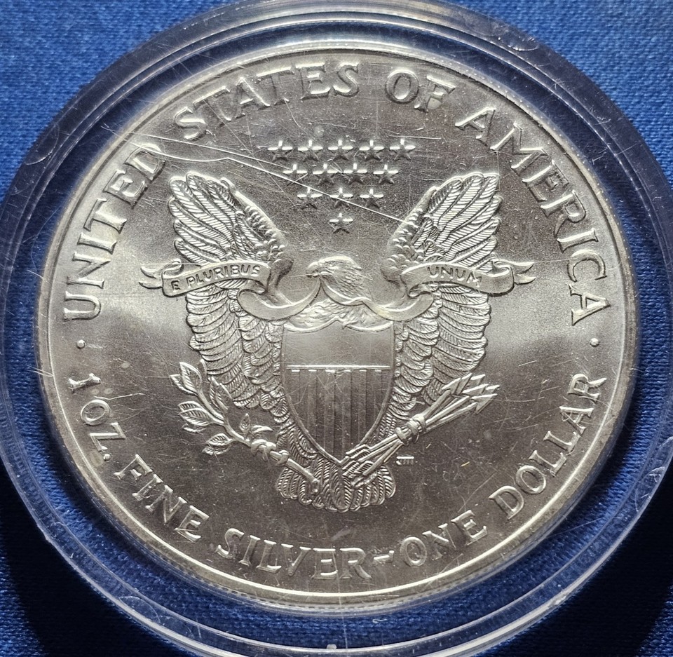 A 2000 Silver Eagle $1 COLORIZED Obverse in a capsule 1 oz .999 | eBay