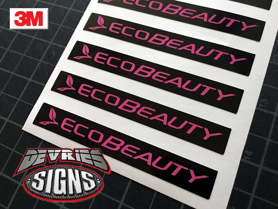 (2) NON-DOMED ECOBOOST emblem overlays ecobeast •!!FITS 2010+ TAURUS ...