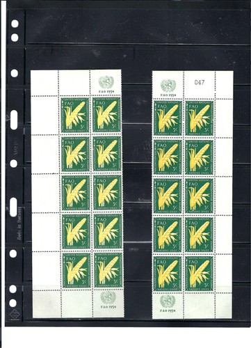 1954 FAO Issue -Left/Right Blocks- Scott#23/24 - (Binder) | eBay