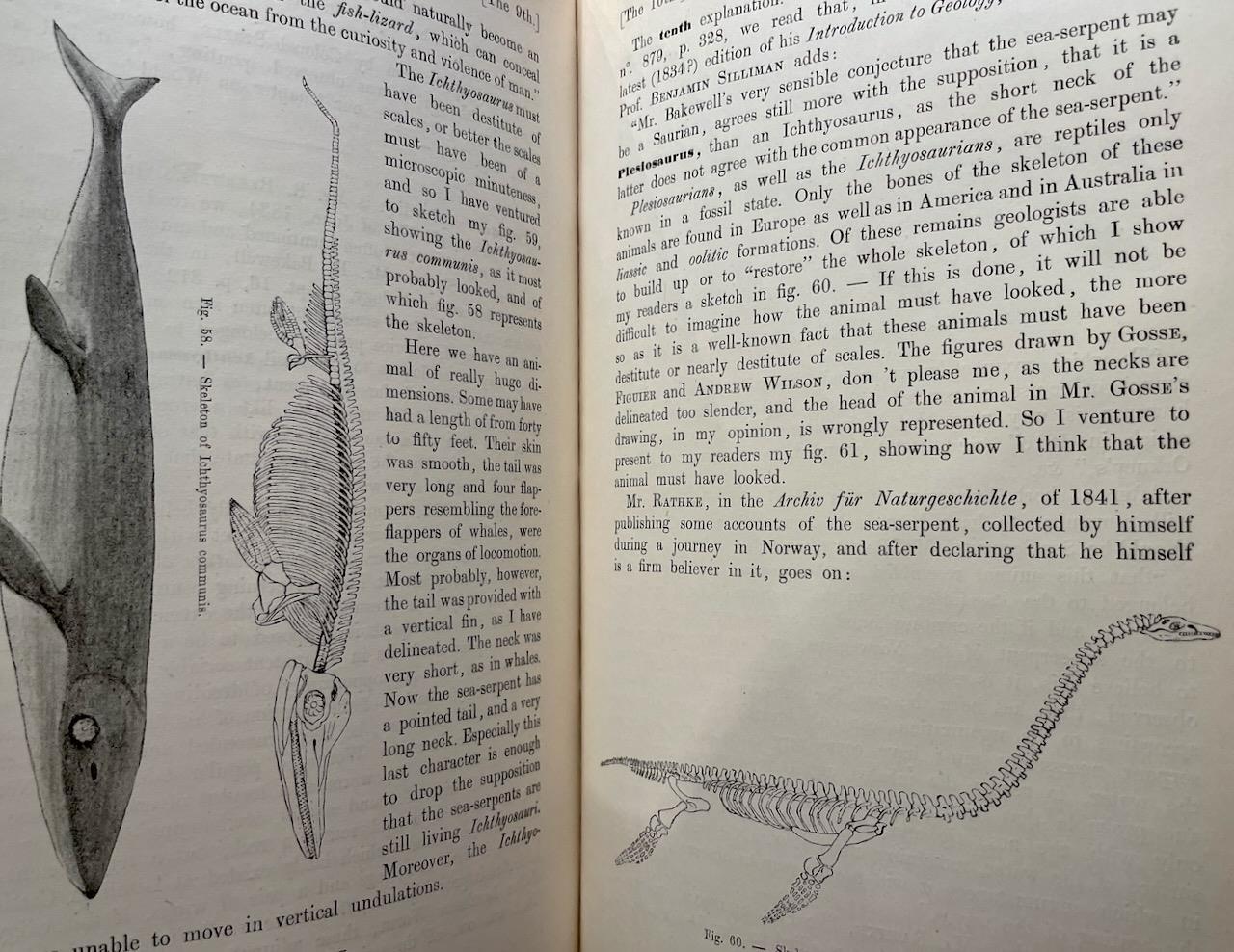 1892 THE GREAT SEA SERPENT A.C. Oudemans CRYPTOZOOLOGY UNKNOWN CREATURE ...
