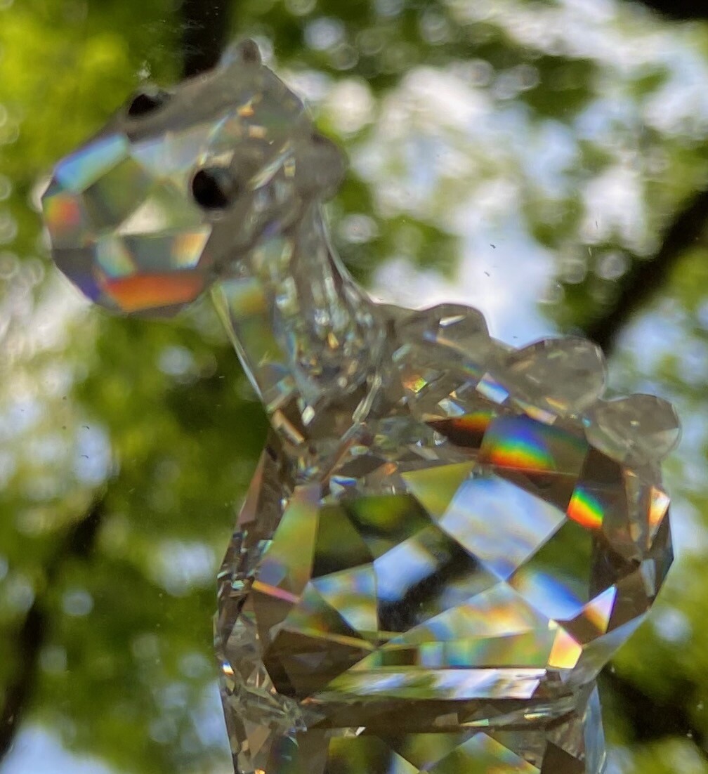 SWAROVSKI Crystal Jay D” Dinosaur Figurine (#7642 000 002 / 832 181 ...
