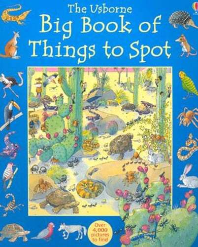 The Usborne Big Book of Things to Spot by Ruth Brocklehurst: New ...
