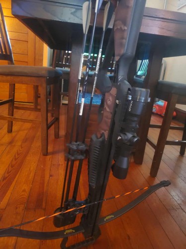 Compound Bow Riflebwith Quiver and Arrows Set Bernett Wildcat Crossbow ...